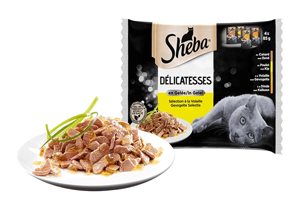 Sheba Sachet Delicacy In Jelly Saveurs de volaille 4x85g | Animalerie ...