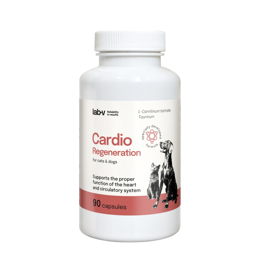 LAB-V Cardio Regeneration - Soutien au bon fonctionnement du cœur et du ...